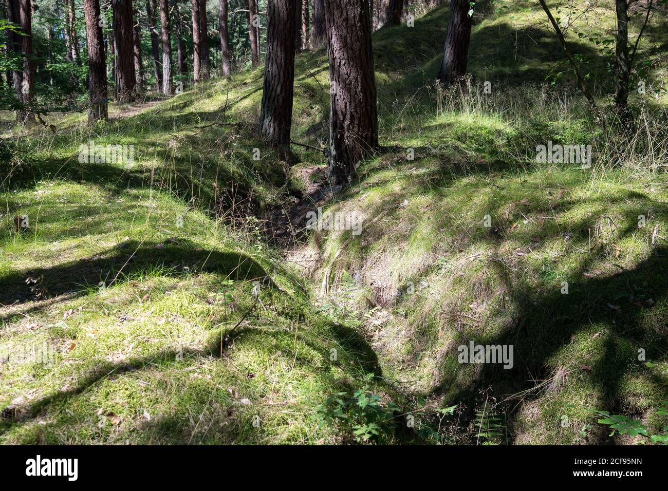 Defensive fighting position hi-res stock photography and images - Alamy