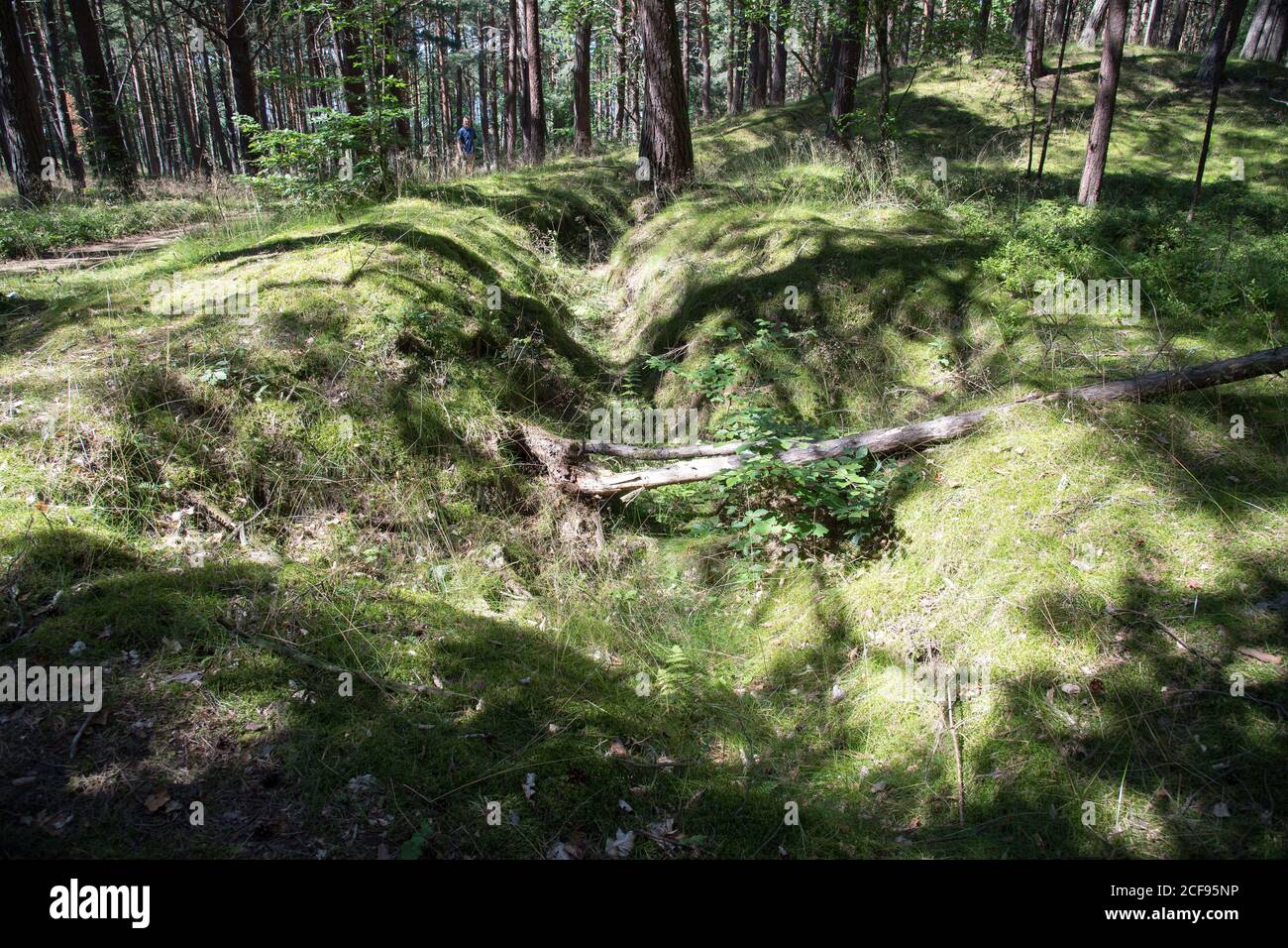 Defensive fighting position hi-res stock photography and images - Alamy