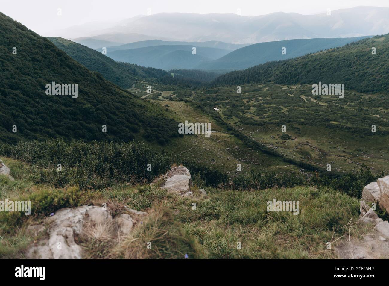 Mountain valley. Natural summer landscape, top view Stock Photo - Alamy