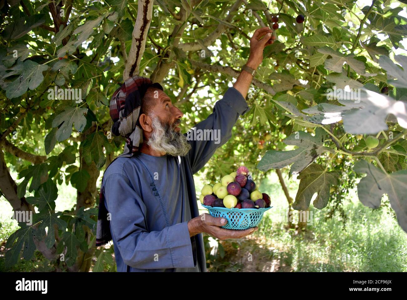 Afghanistan arghandab hi-res stock photography and images - Alamy