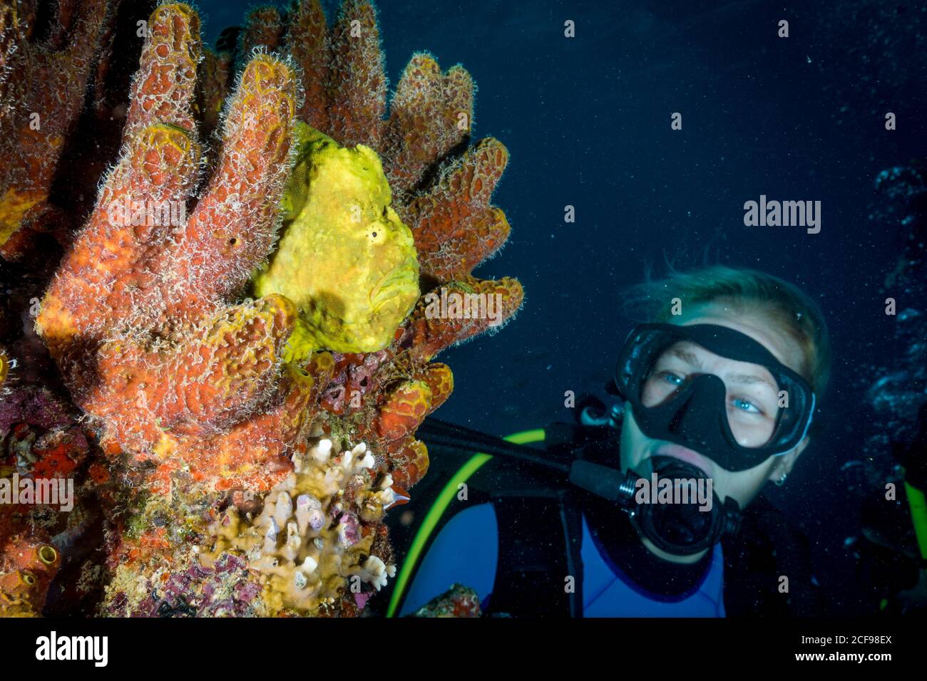 Female Diver Sponges High Resolution Stock Photography and Images - Alamy