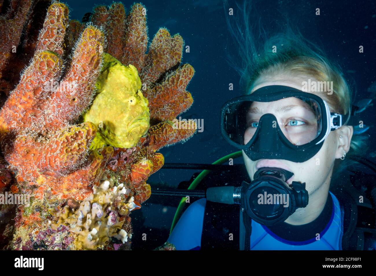 Female Diver Sponges High Resolution Stock Photography and Images - Alamy