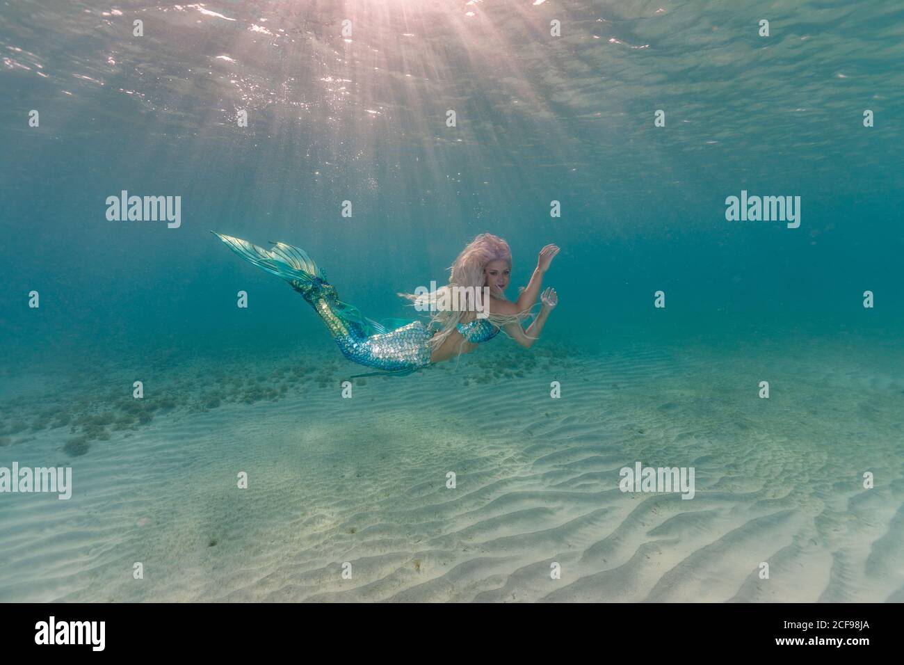 Beautiful carefree young mermaid with blue fishtail swimming underwater ...