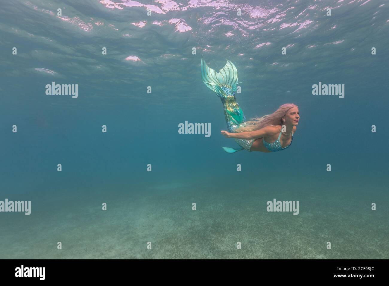 Beautiful young woman swimming underwater hi-res stock photography and ...