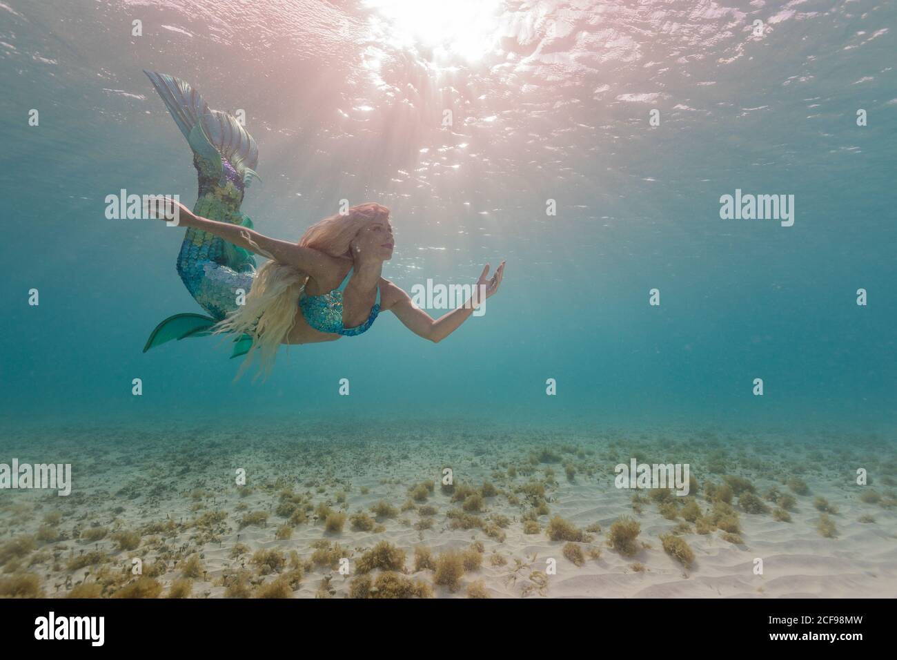 Beautiful carefree young mermaid with blue fishtail swimming underwater ...