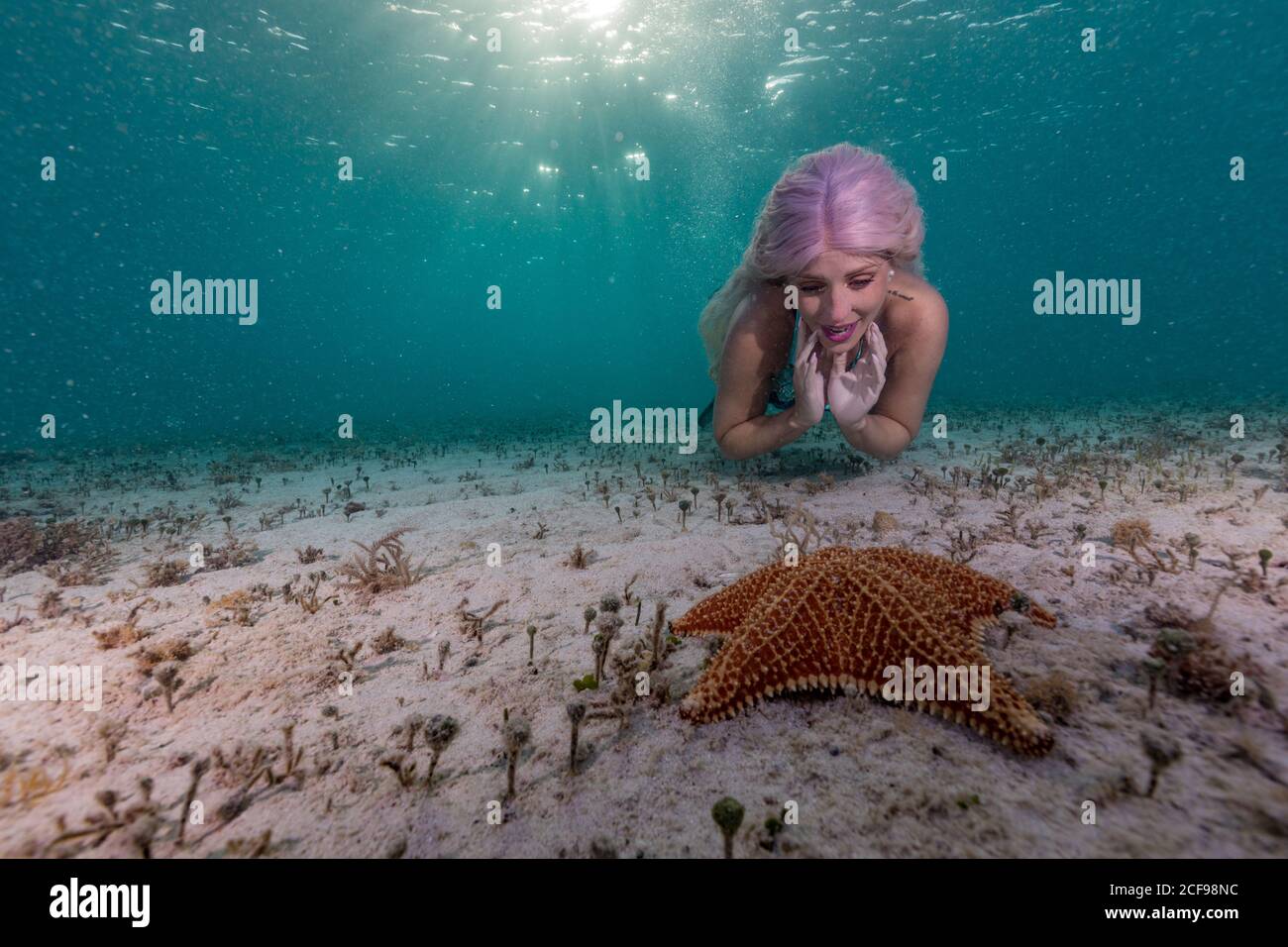 Beautiful curious young mermaid with shiny fishtail looking at starfish ...
