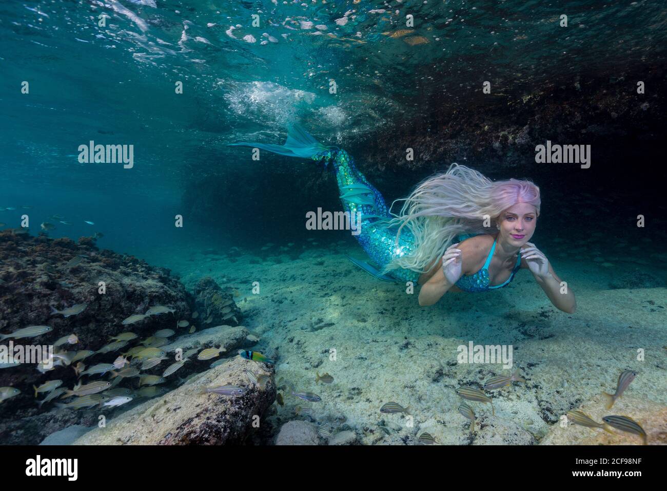 Side view of beautiful dreamy young mermaid with blue shiny fishtail ...