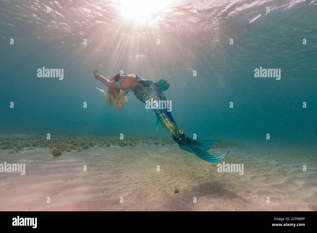 Beautiful carefree young mermaid with blue fishtail swimming underwater ...