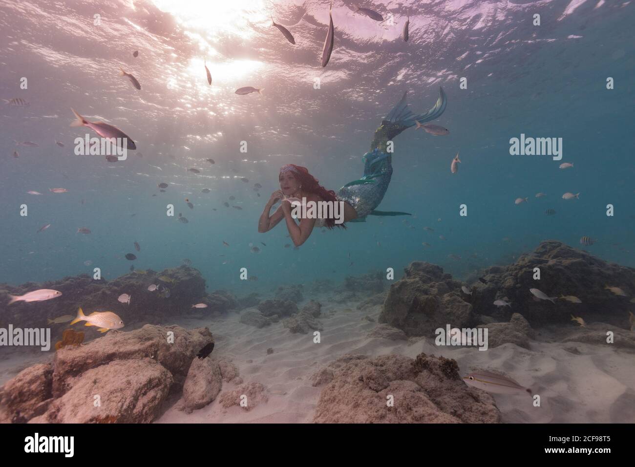 Side view of beautiful dreamy young mermaid with blue shiny fishtail ...