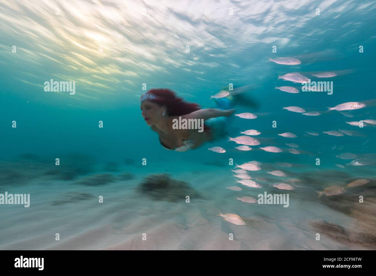 Side view of beautiful dreamy young mermaid with blue shiny fishtail ...