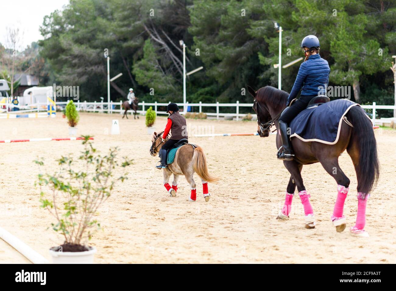 Back view of boy on roan pony and teen girl on brown horse riding ...