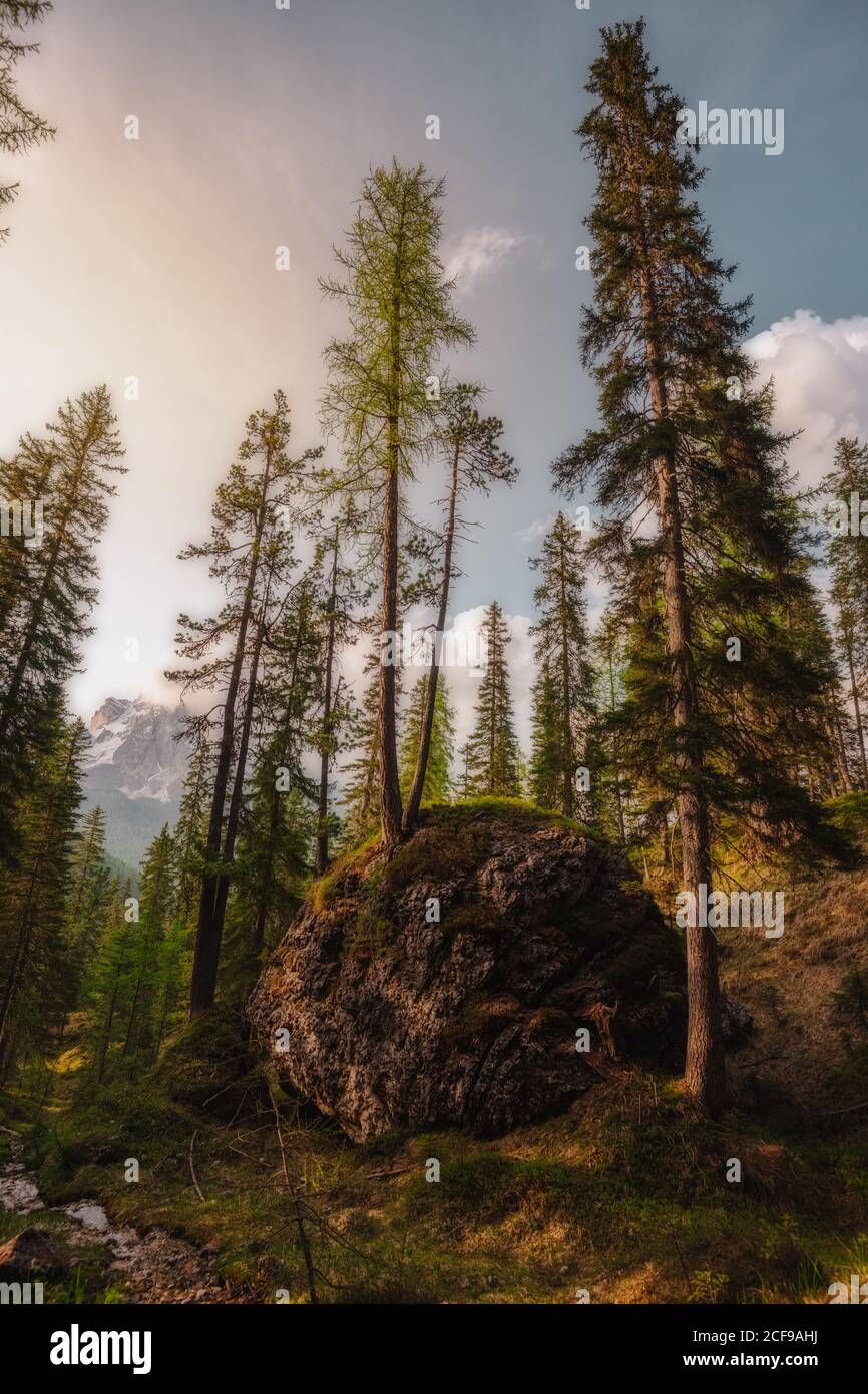 Picturesque landscape with large round boulder surrounded by high green ...