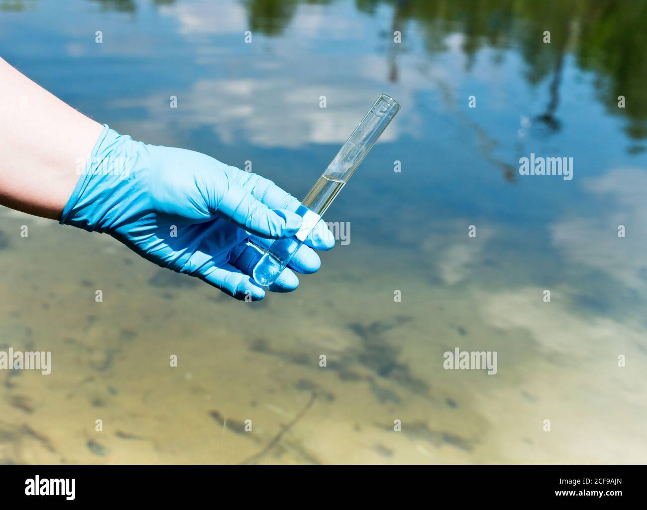 ecologist takes water in a test tube from a lake, river, sea. The ...