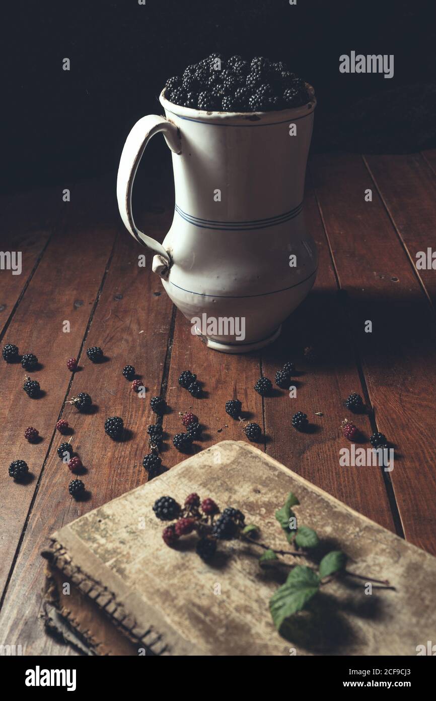 Jag leaves hi-res stock photography and images - Alamy