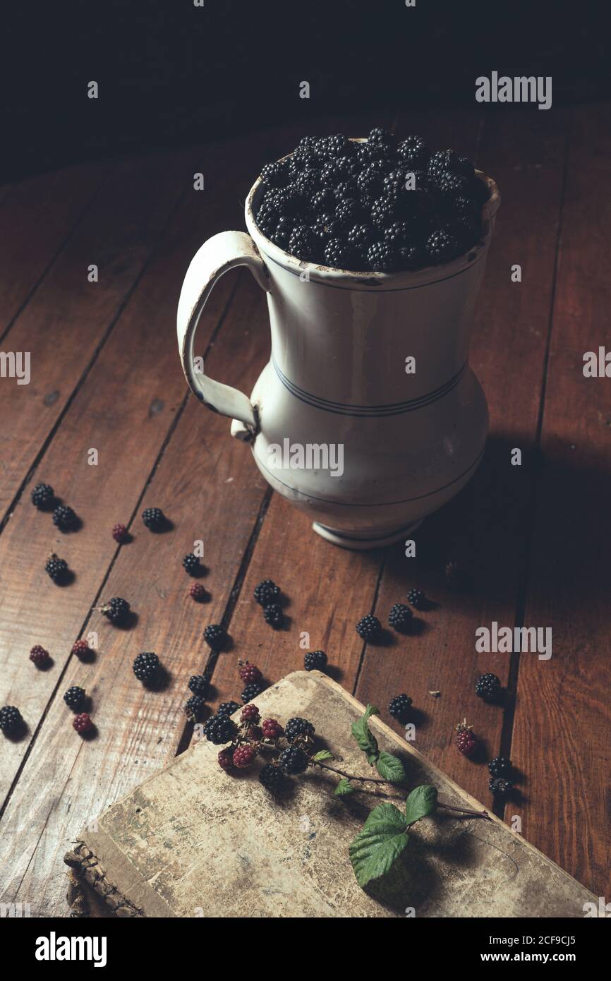 Jag leaves hi-res stock photography and images - Alamy