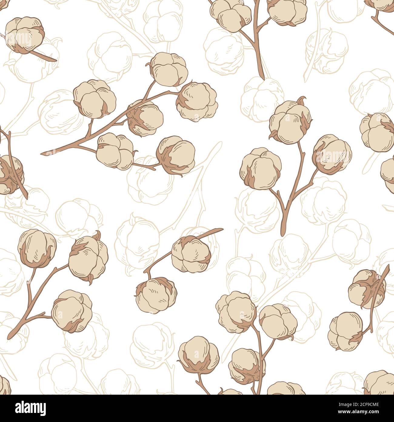 Cotton flower illustration hi-res stock photography and images - Alamy