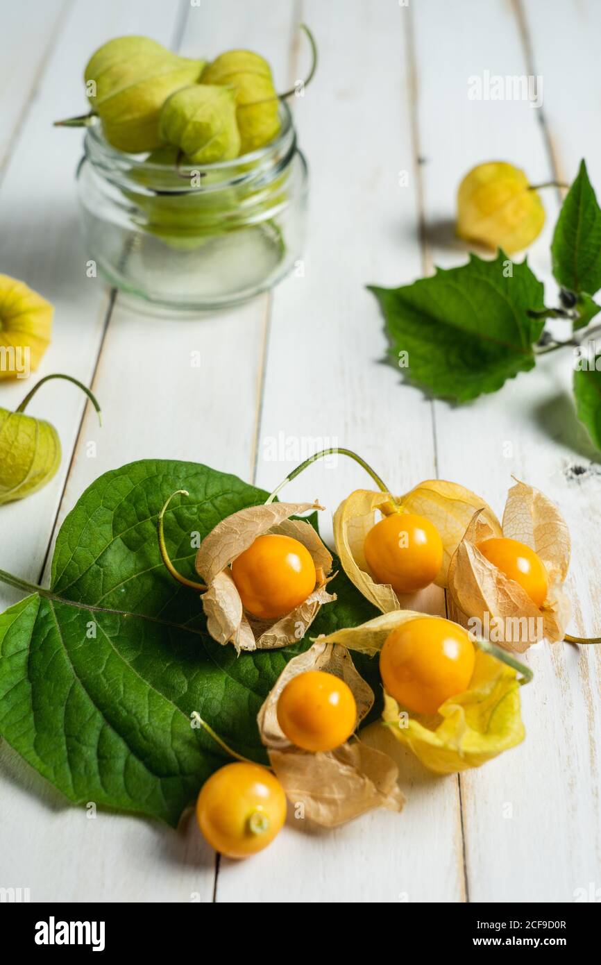 Physalis fruit (Physalis peruviana) also called uchuva, cape gooseberry ...