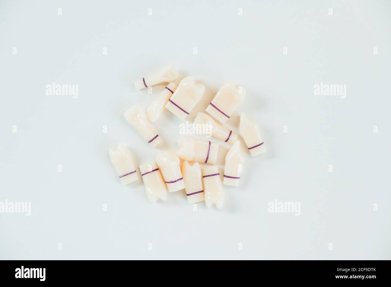 Top view of various plastic teeth models Stock Photo - Alamy