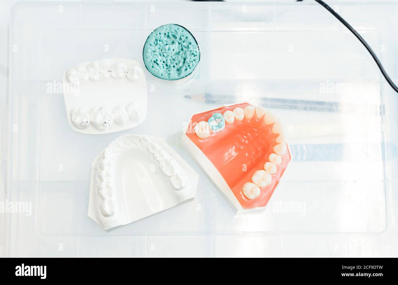Top view of plastic container with dental mold and prosthesis used for ...