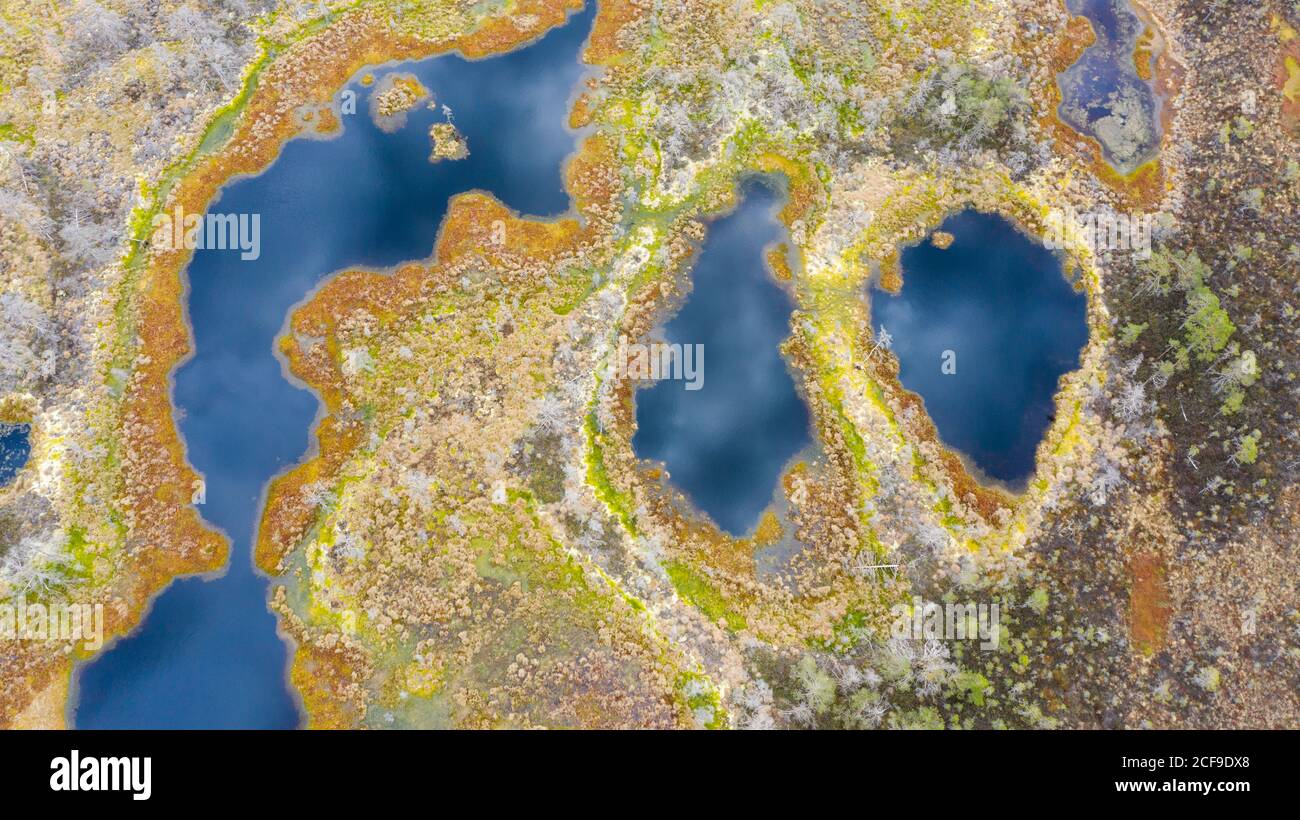 Aerial top-down view to the complex natural peat bog pattern with the ...