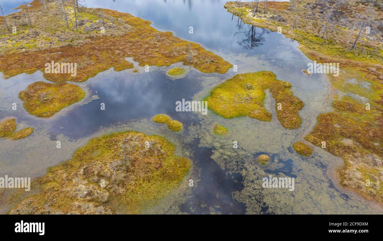 Aerial top-down view to the complex natural peat bog pattern with the ...