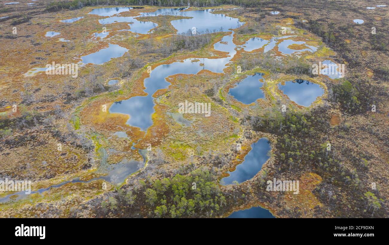 Aerial top-down view to the complex natural peat bog pattern with the ...