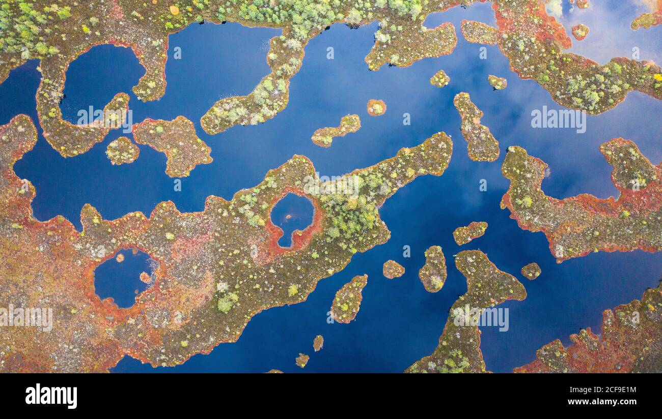 Aerial top-down view to the complex natural peat bog pattern with the ...