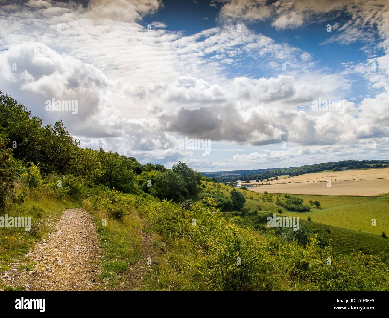 View of landscape from a ridge on the Ashridge Estate in the Chilterns ...
