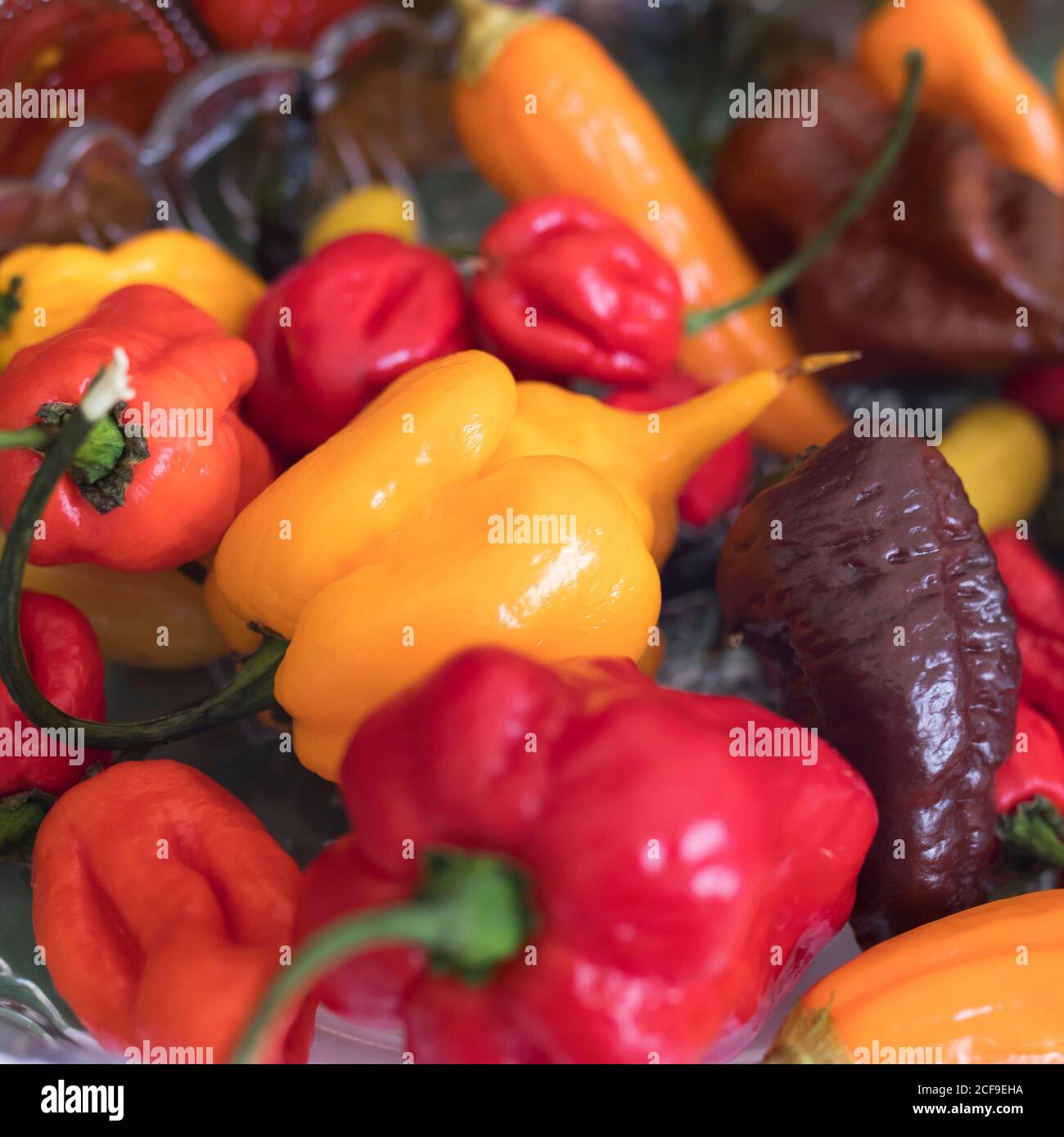 Various bell pepper in bowl hi-res stock photography and images - Alamy