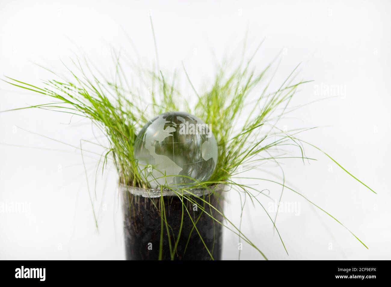 Small Earth glass ball in green grass. Abstract photo Stock Photo - Alamy