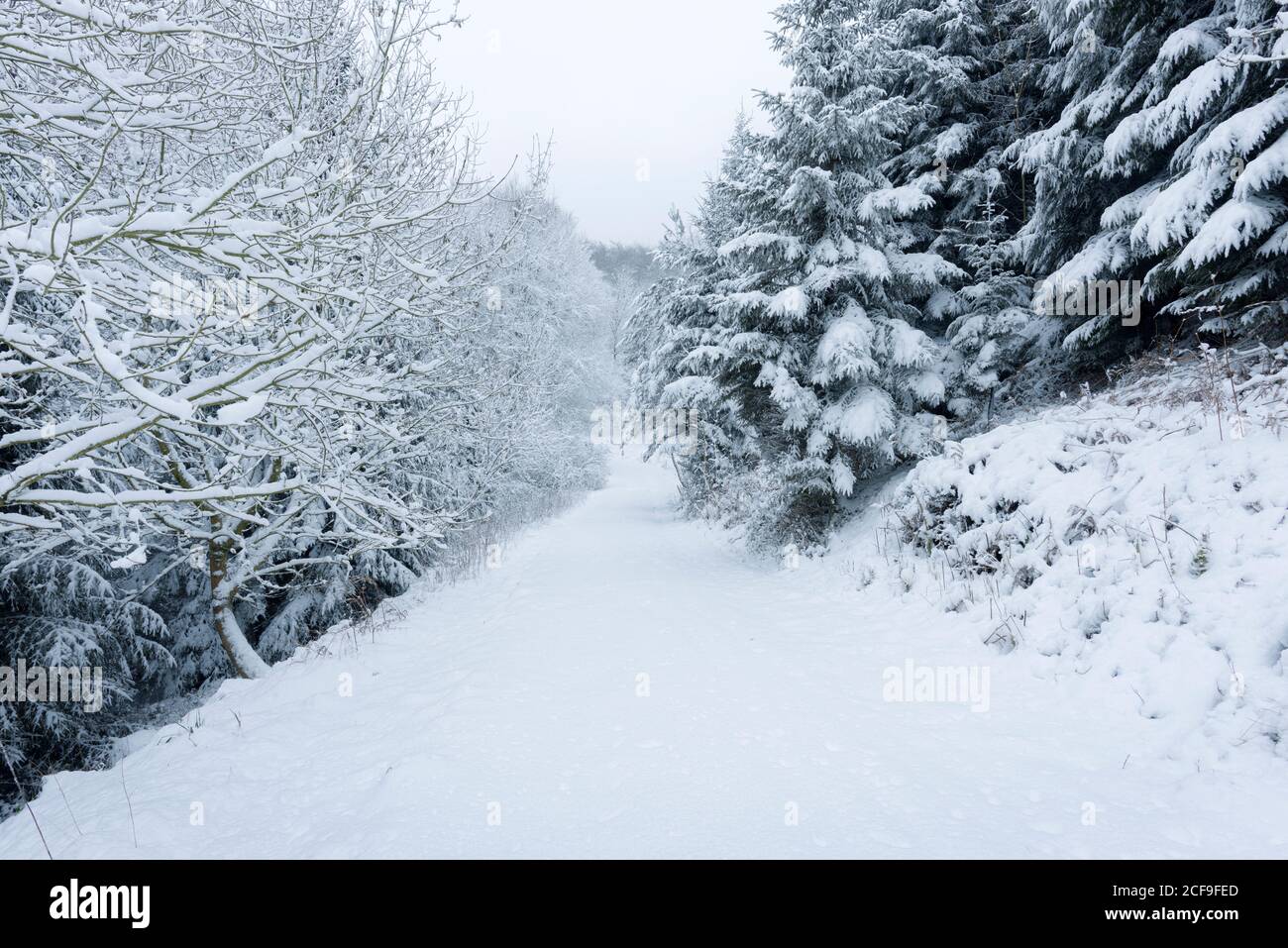 Hills winter hi-res stock photography and images - Alamy