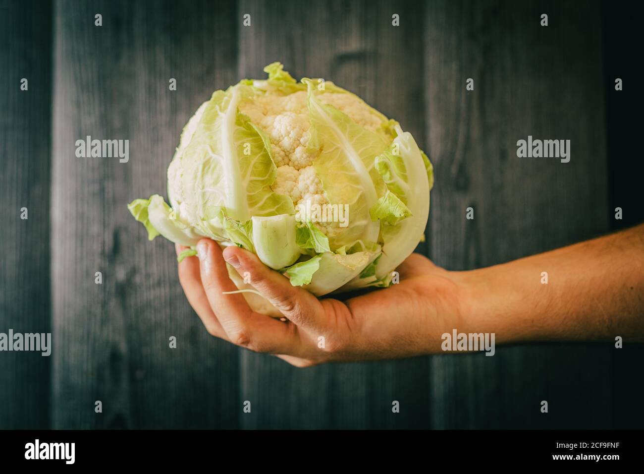 unrecognizable person holding leaves and showing a bunch of healthy ...