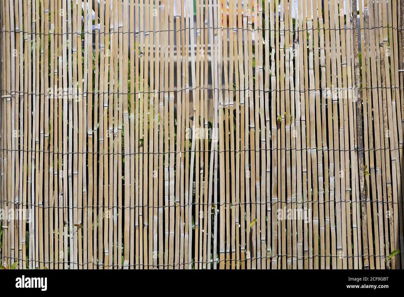 Fence of bamboo sticks fastened with wire Stock Photo - Alamy