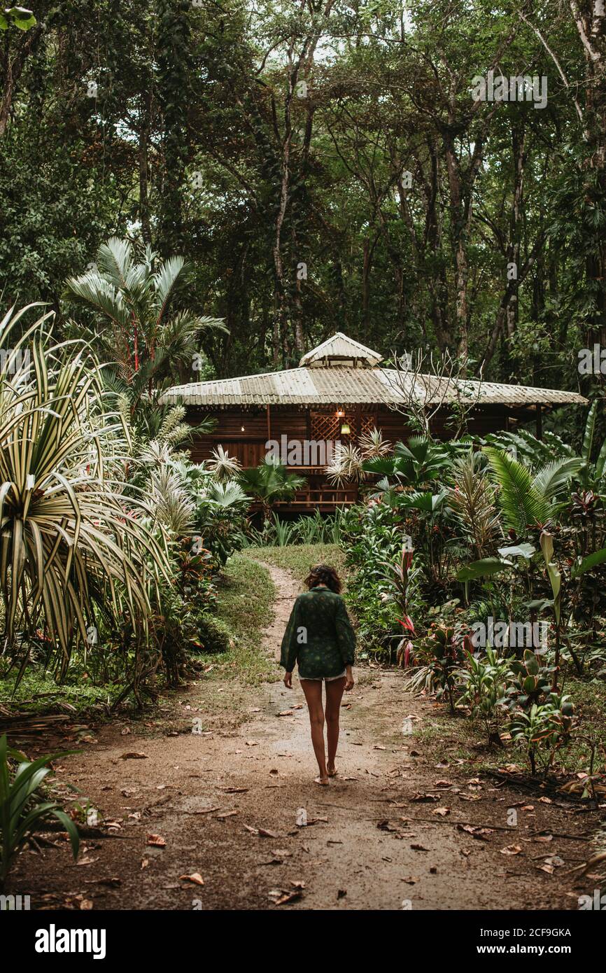 Back view of lonely Woman walking on narrow path between rows of green ...