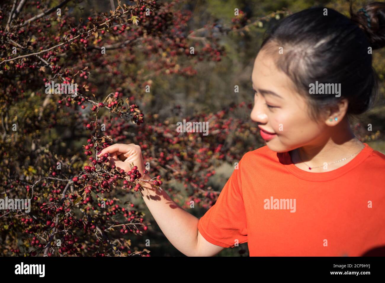 Enjoying the pleasant day hi-res stock photography and images - Alamy