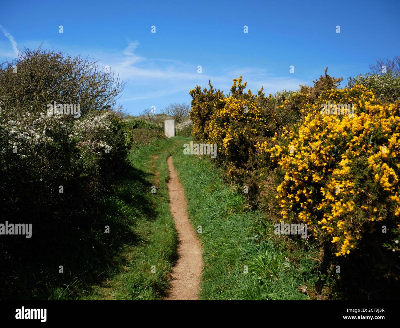 Cliff path near Trenarren, St Austell, Cornwall. Memorial stone ...