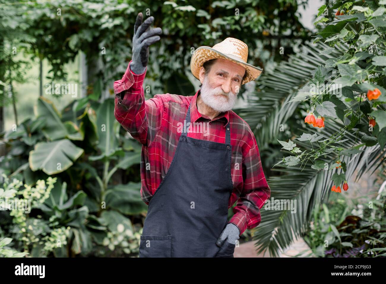 Horticulture and gardening concept. Portrait of handsome bearded ...