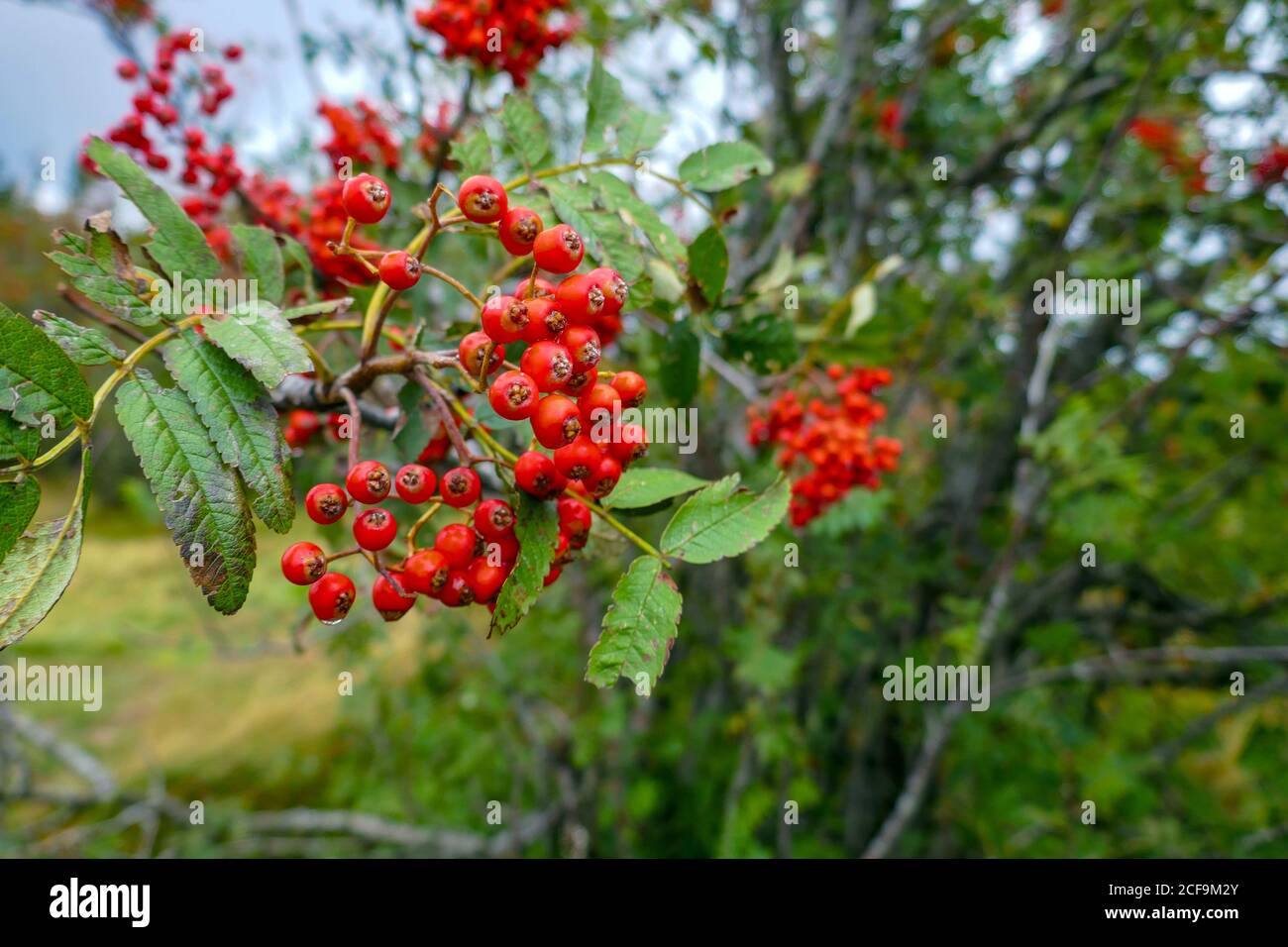 Signs of autumn hi-res stock photography and images - Alamy
