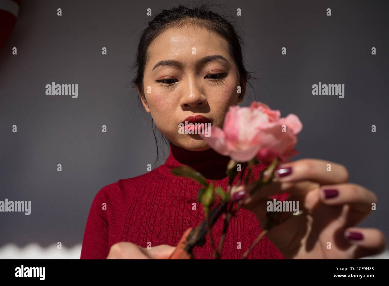 Young Asian Lady Cutting Rose Stem With Secateurs Stock Photo Alamy young-asian-lady-cutting-rose-stem-with-secateurs-stock-photo-alamy