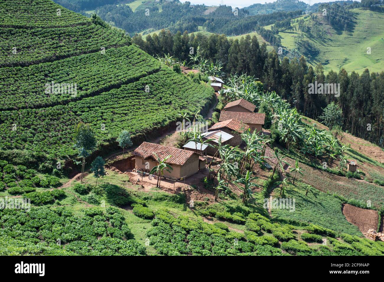 World environment day 2019 hi-res stock photography and images - Alamy