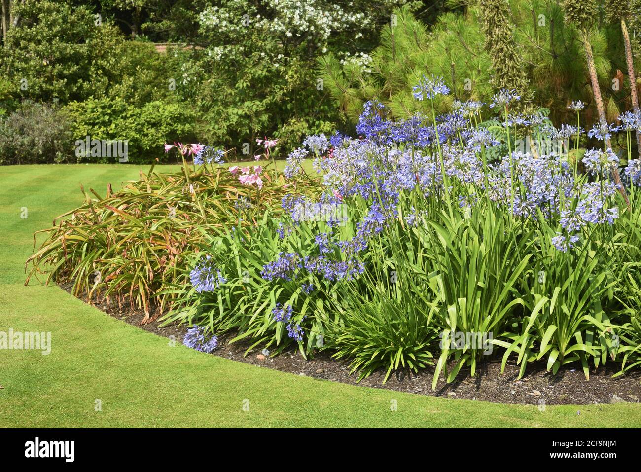 Colorful flower beds and grass in a formal garden Stock Photo - Alamy