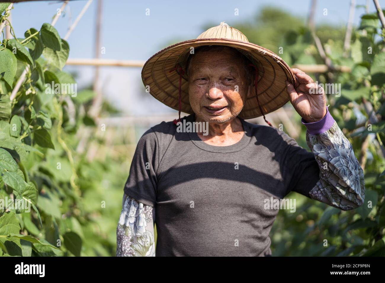 Senior Asian man in traditional oriental conical hat and casual clothes ...