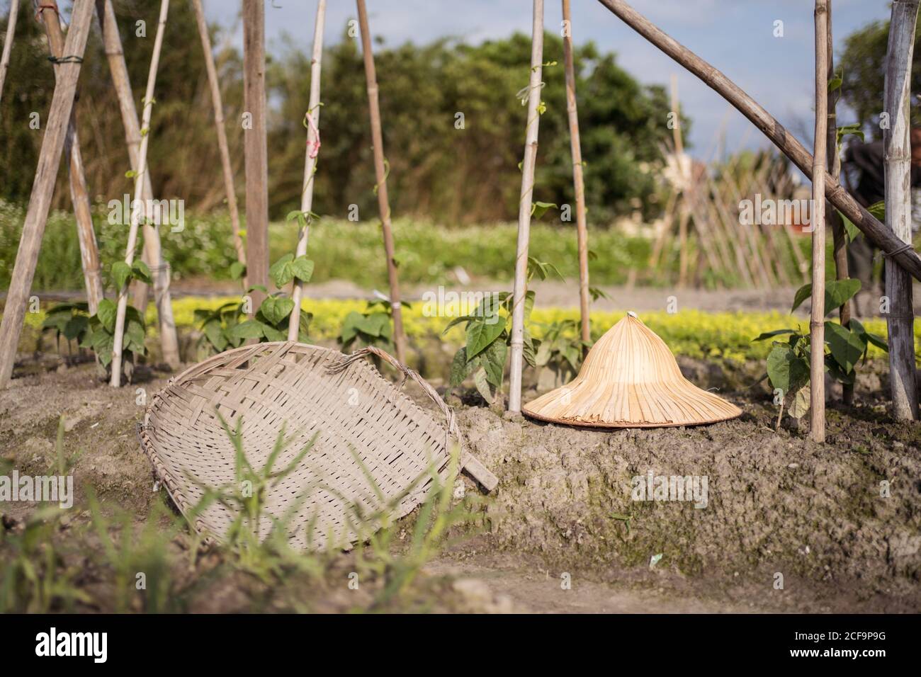 Traditional wicker hat hi-res stock photography and images - Alamy