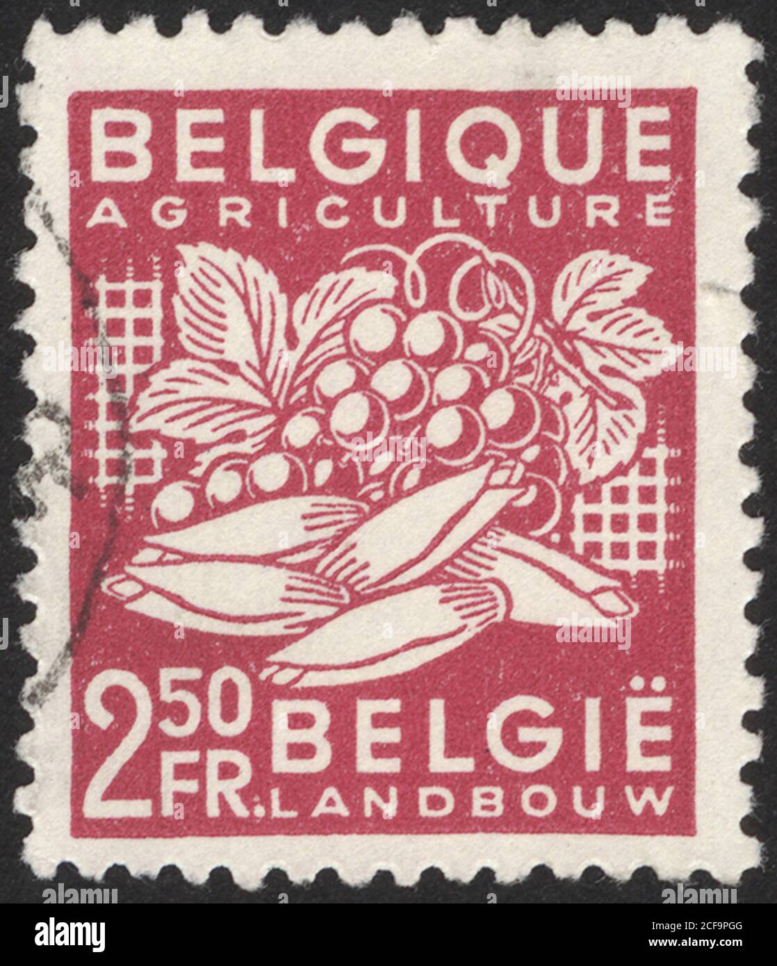 Postage stamps of the Belgium. Stamp printed in the Belgium. Stamp ...