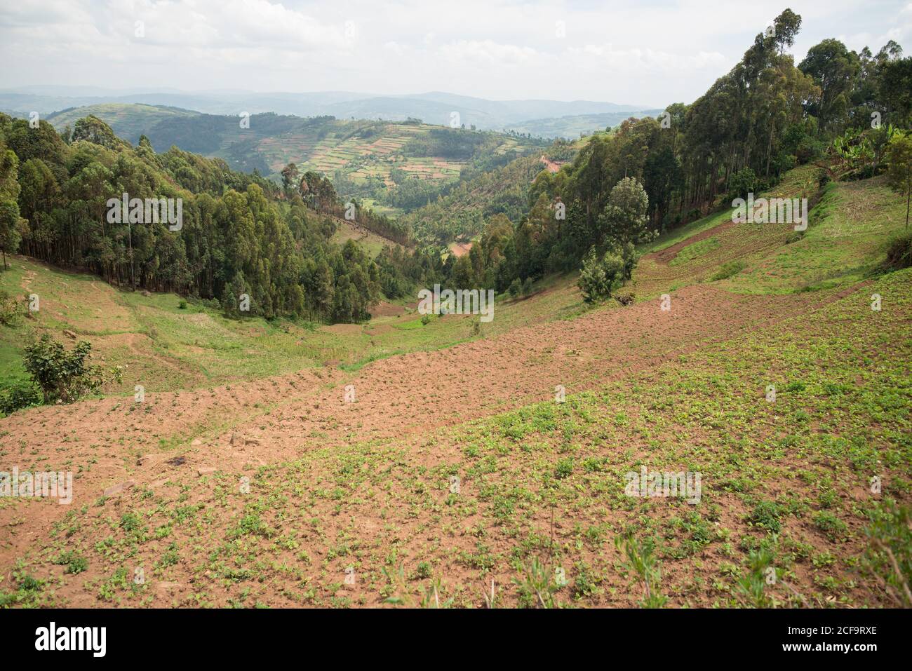 Uganda - November 26, 2016: From above magnificent scenery of ...