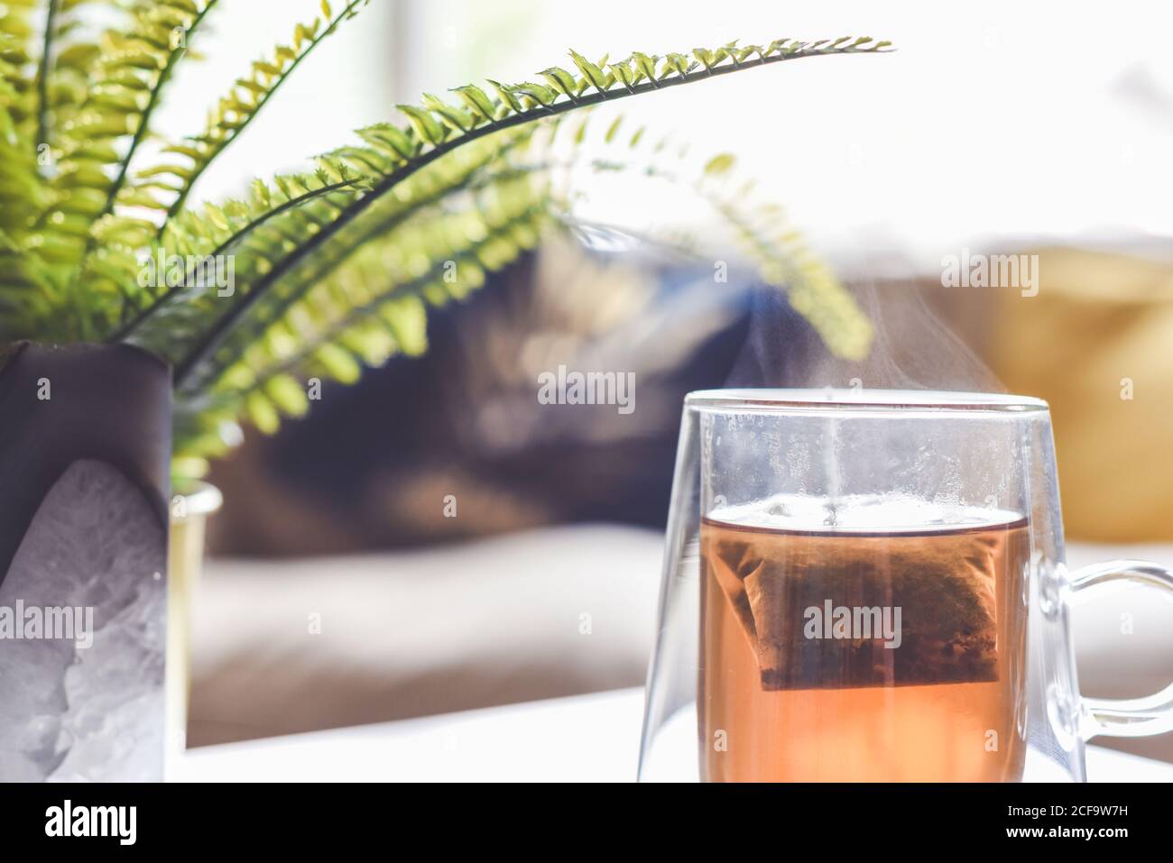 Cup of calming herbal tea with bag in home interior setting Stock Photo ...