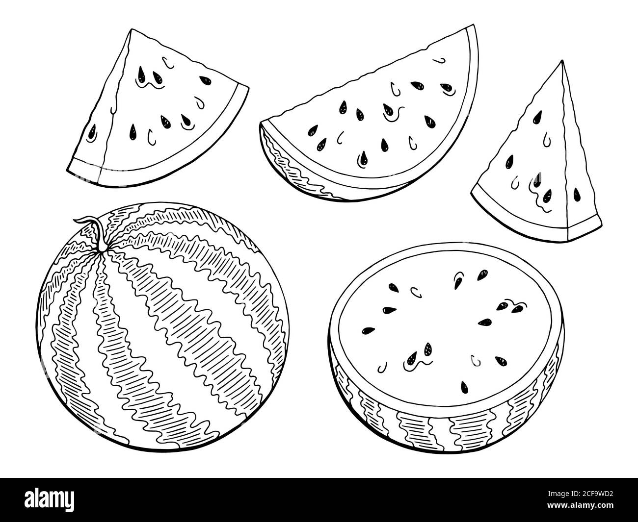Watermelon graphic black white isolated sketch illustration vector ...