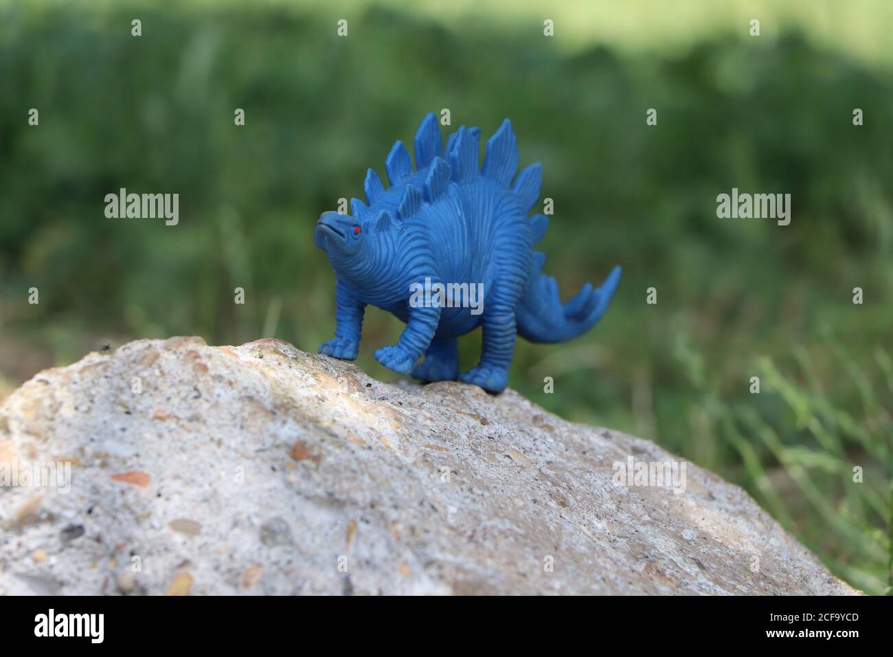 blue rubber dinosaur toy in a park Stock Photo - Alamy