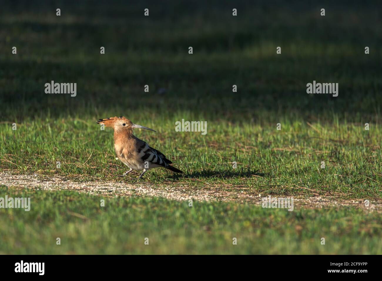 Funny environment hi-res stock photography and images - Alamy