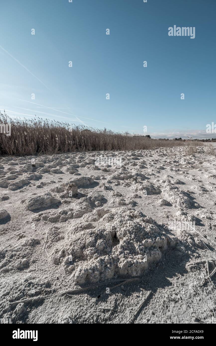 Drought desert landscape with dry ground and plants against blue sky ...
